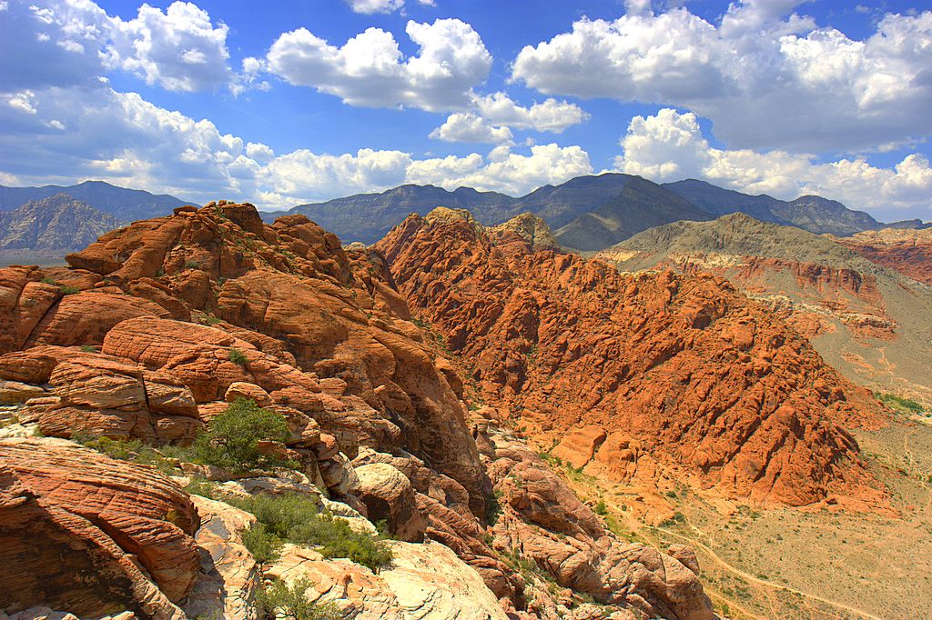 Largest Desert in the World and Fascinating Facts About Deserts