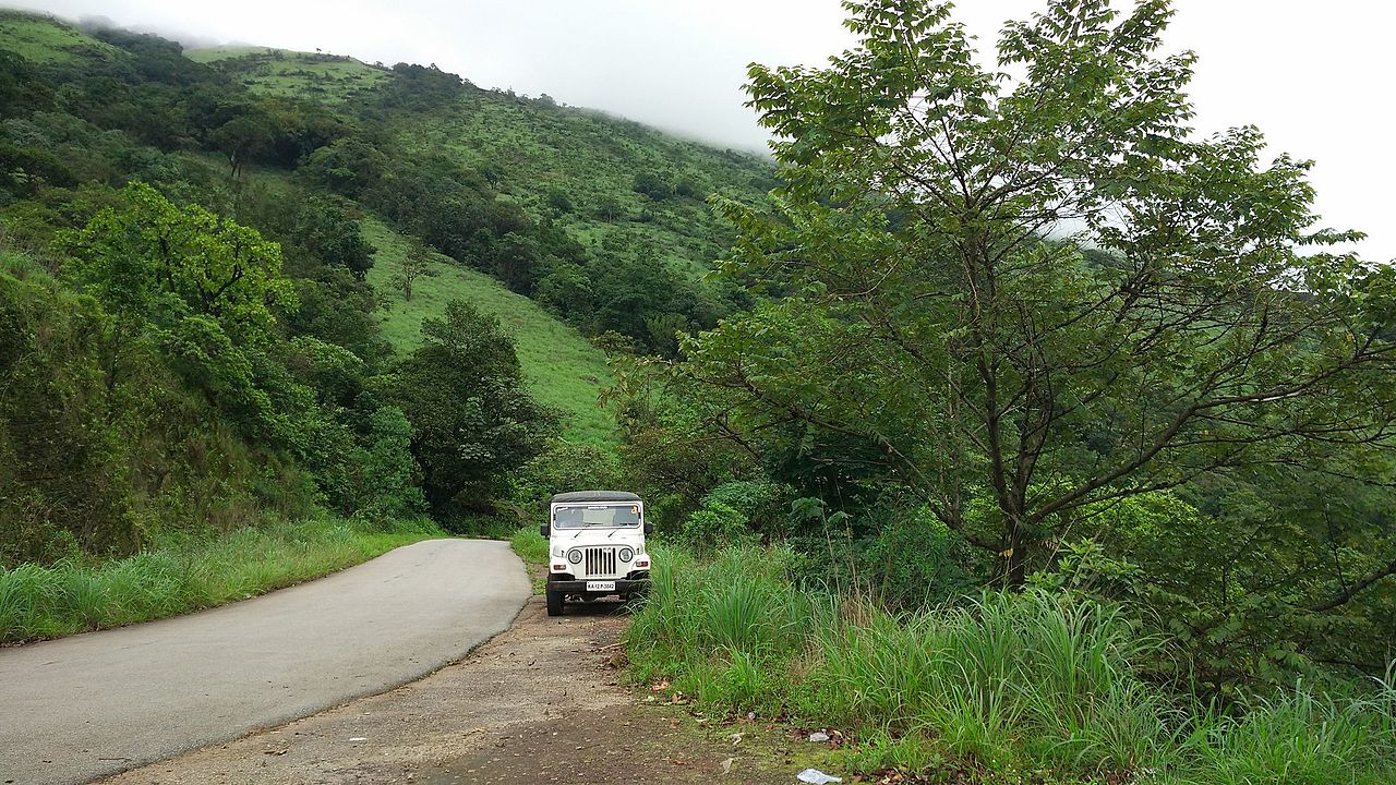 Chikmagalur Tourist Places for the Ultimate Forest Expedition