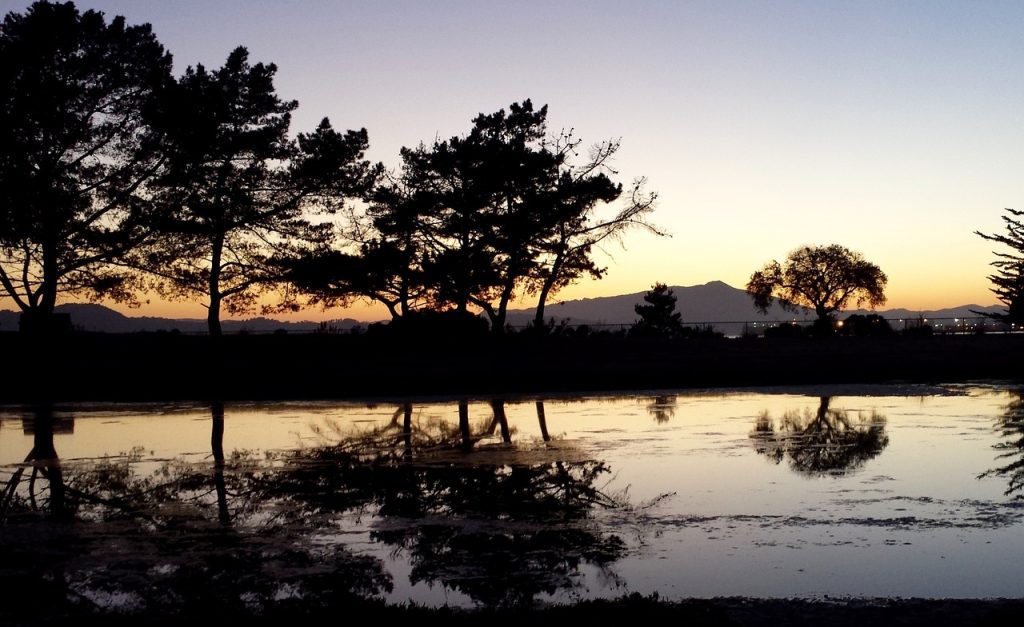 Top 9 Biggest City in Virginia and What They Are Known For